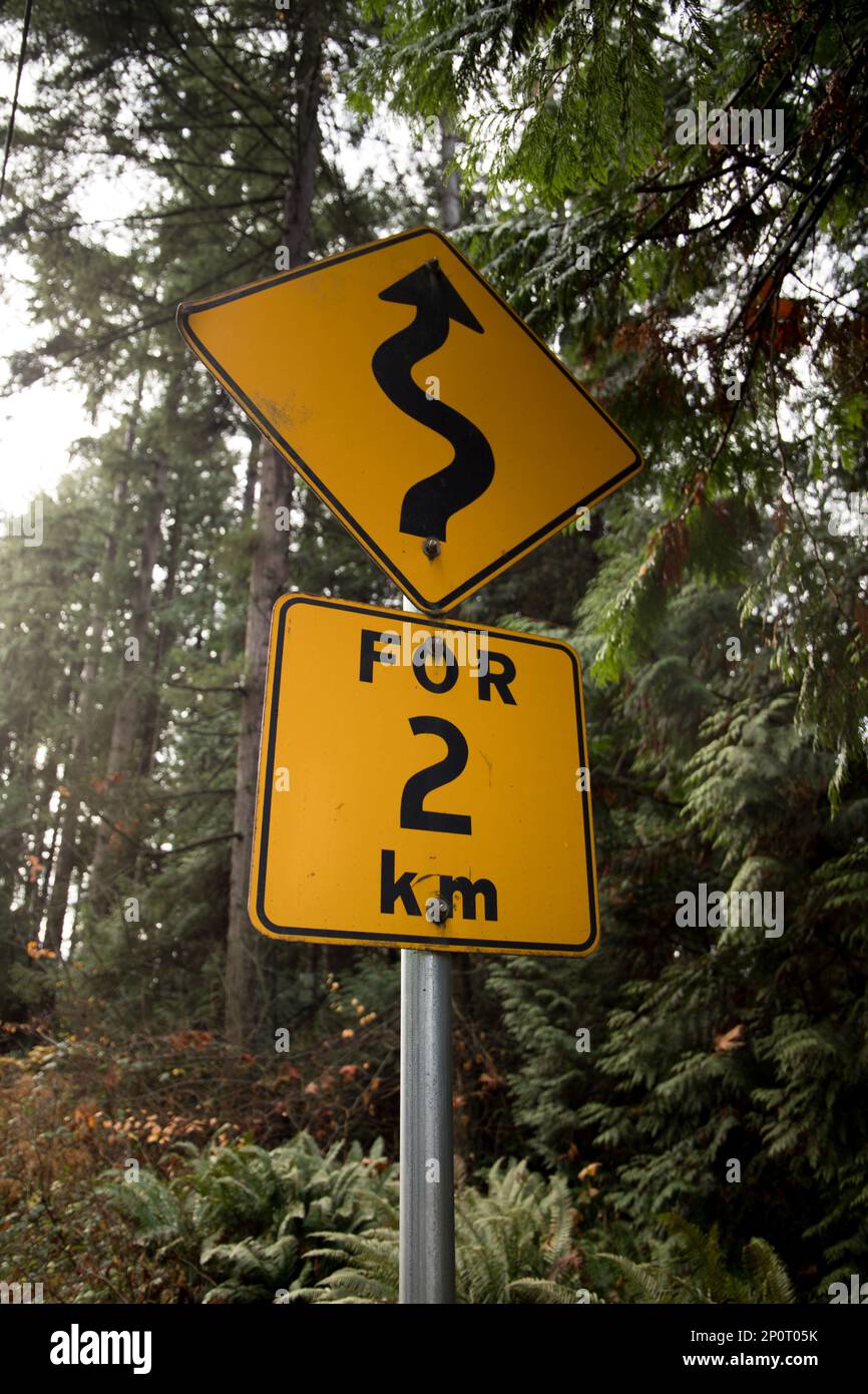 A winding road sign on the side of a road with the forest in the ...