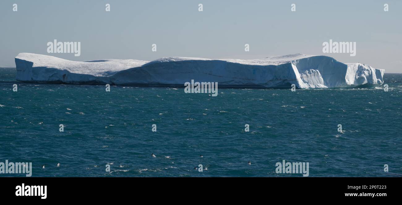 Blue tabular icebergs hi-res stock photography and images - Alamy