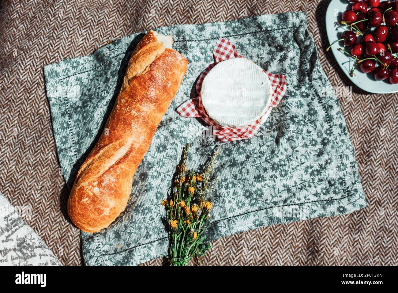 Summer romantic rustic picnic on the plaid. French style. Baguette ...