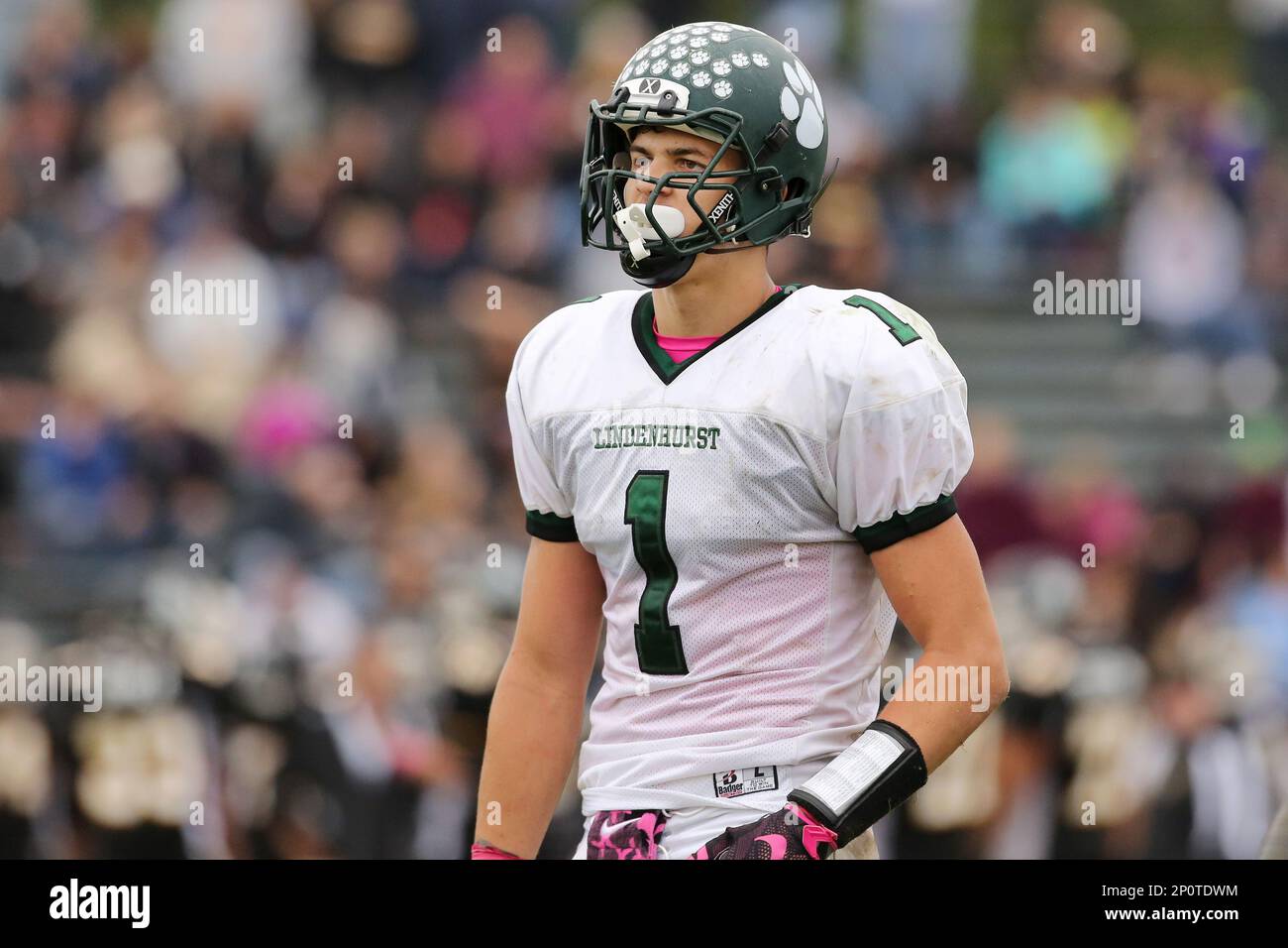 Lindenhurst's Jeremy Ruckert #1 is seen against Northport during a high ...