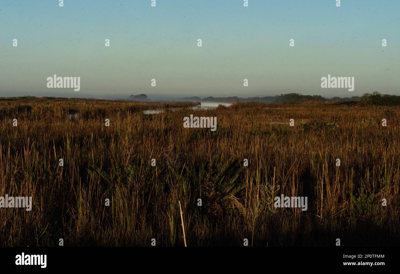 EAA Project is the crown Jewel of Everglades Restoration which ...