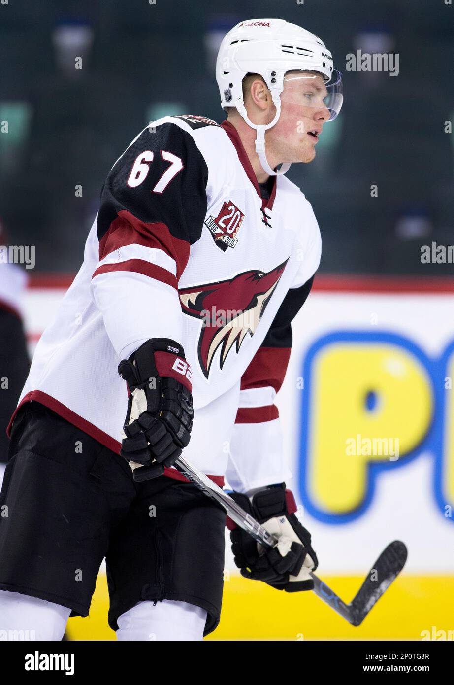 NHL profile photo on Arizona Coyotes' Lawson Crouse at a game against ...