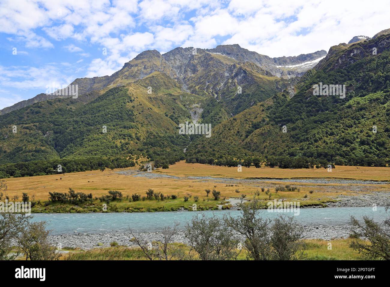 Mt Aspiring National Park, New Zealand Stock Photo - Alamy