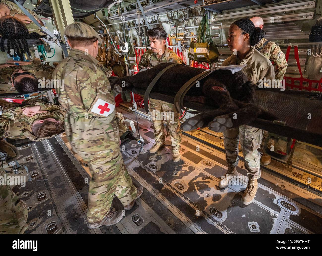 U.S. Air Force Airmen from the 386th Expeditionary Medical Squadron and ...