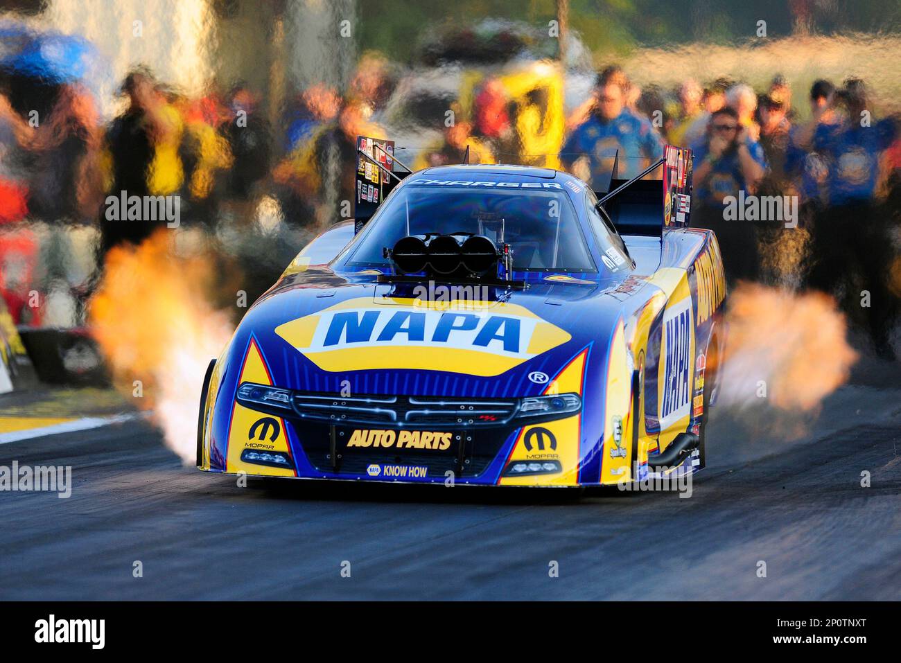 23 September 2016: Ron Capps (28 FC) Don Schumacher Racing (DSR) Dodge ...