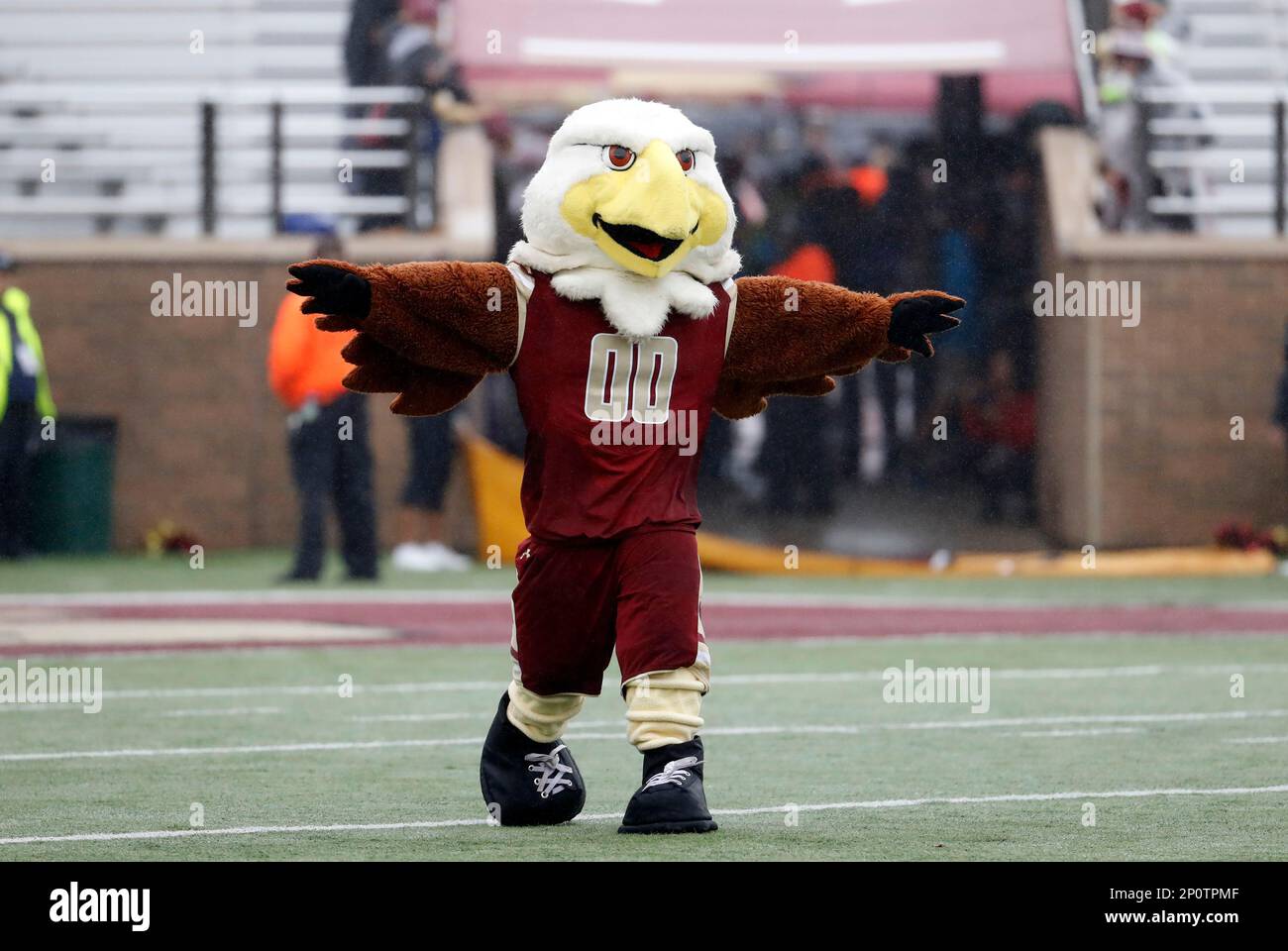 01 October 2016: Baldwin the BC mascot takes the field before the game ...
