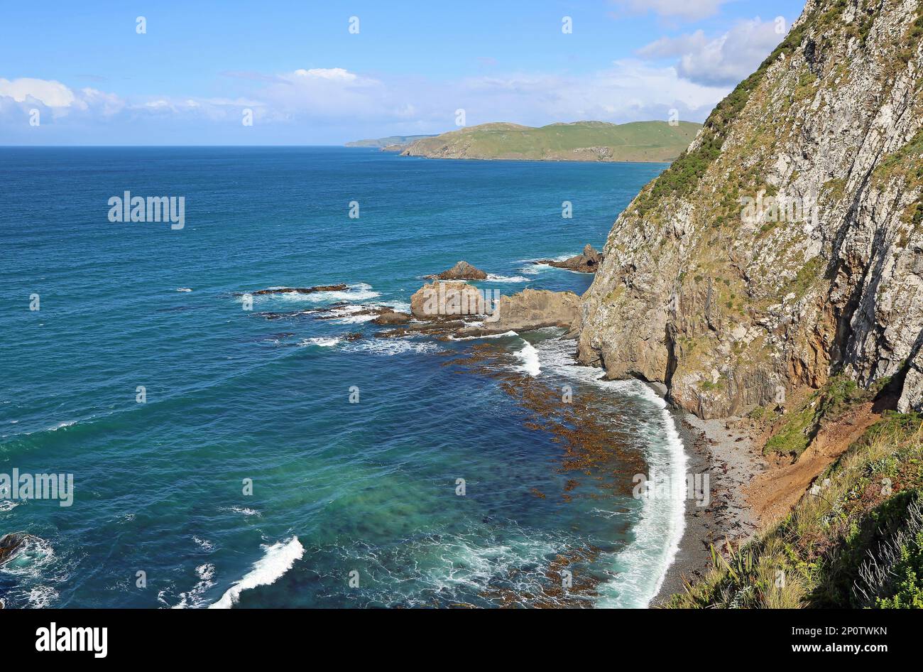 Roaring Bay - Nugget Point - New Zealand Stock Photo - Alamy