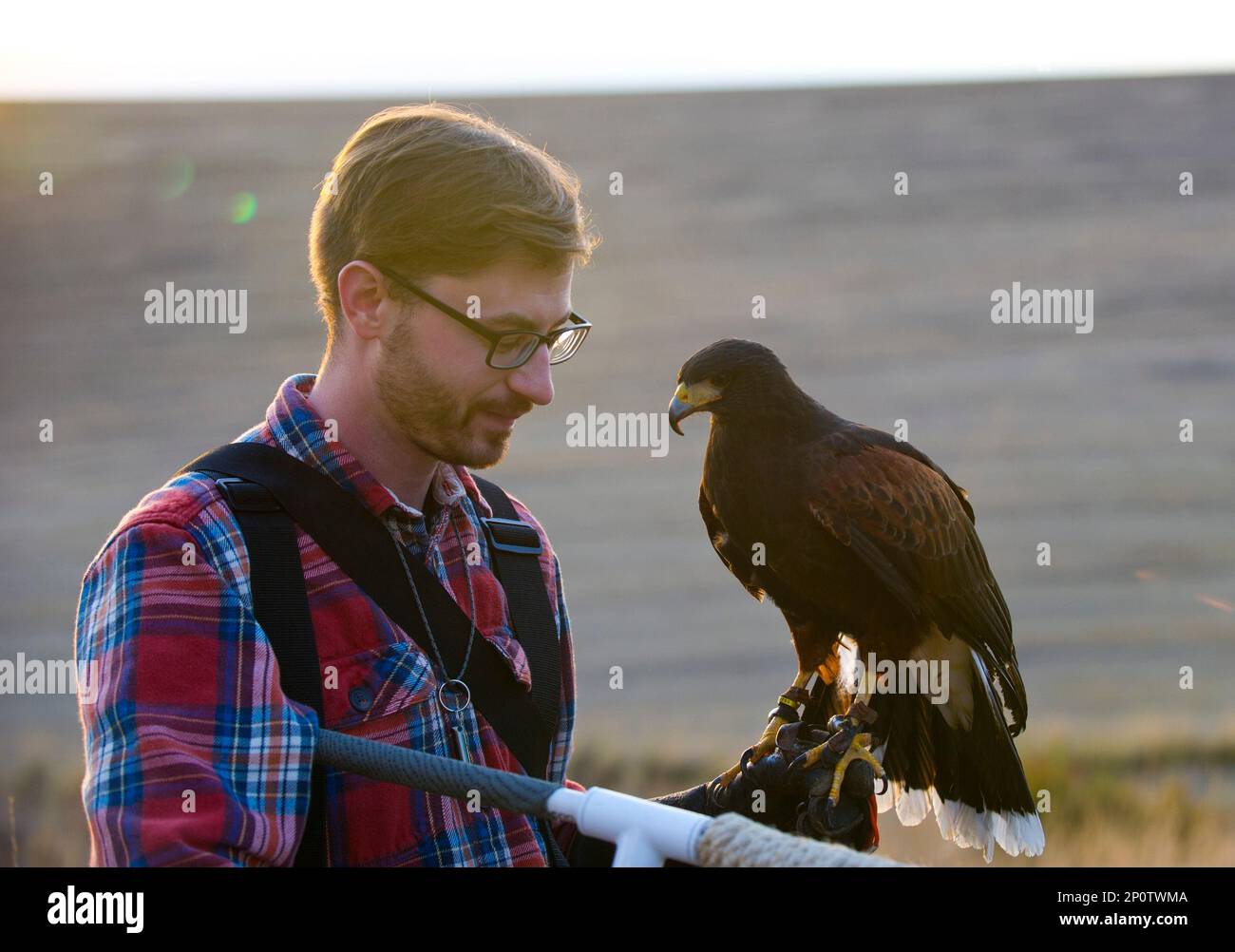 Thaddeus Harris and his Hawk Ember share a moment together Wednesday ...