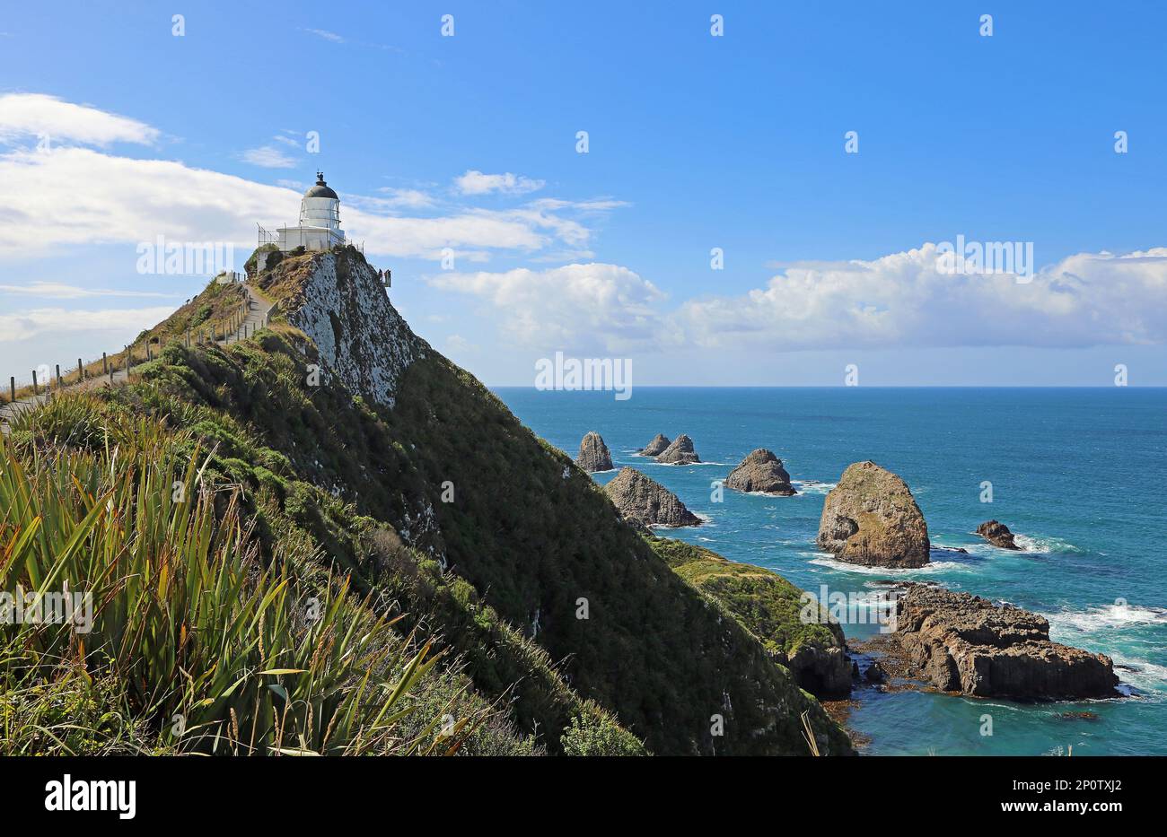 Nugget Point lighthouse on the cliff - New Zealand Stock Photo - Alamy
