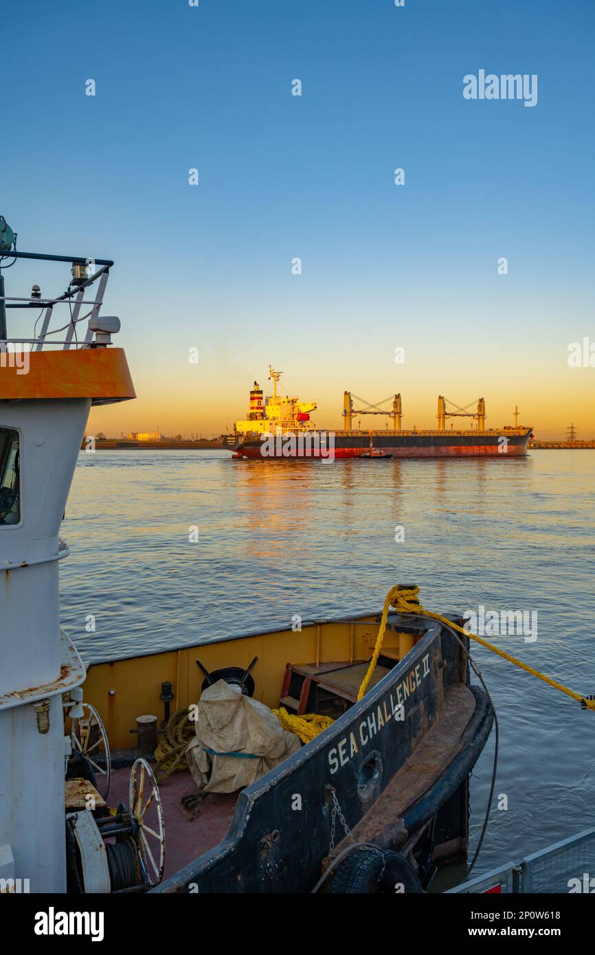 Bulk carrier travelling down the river thames at Gravesend Kent on a ...