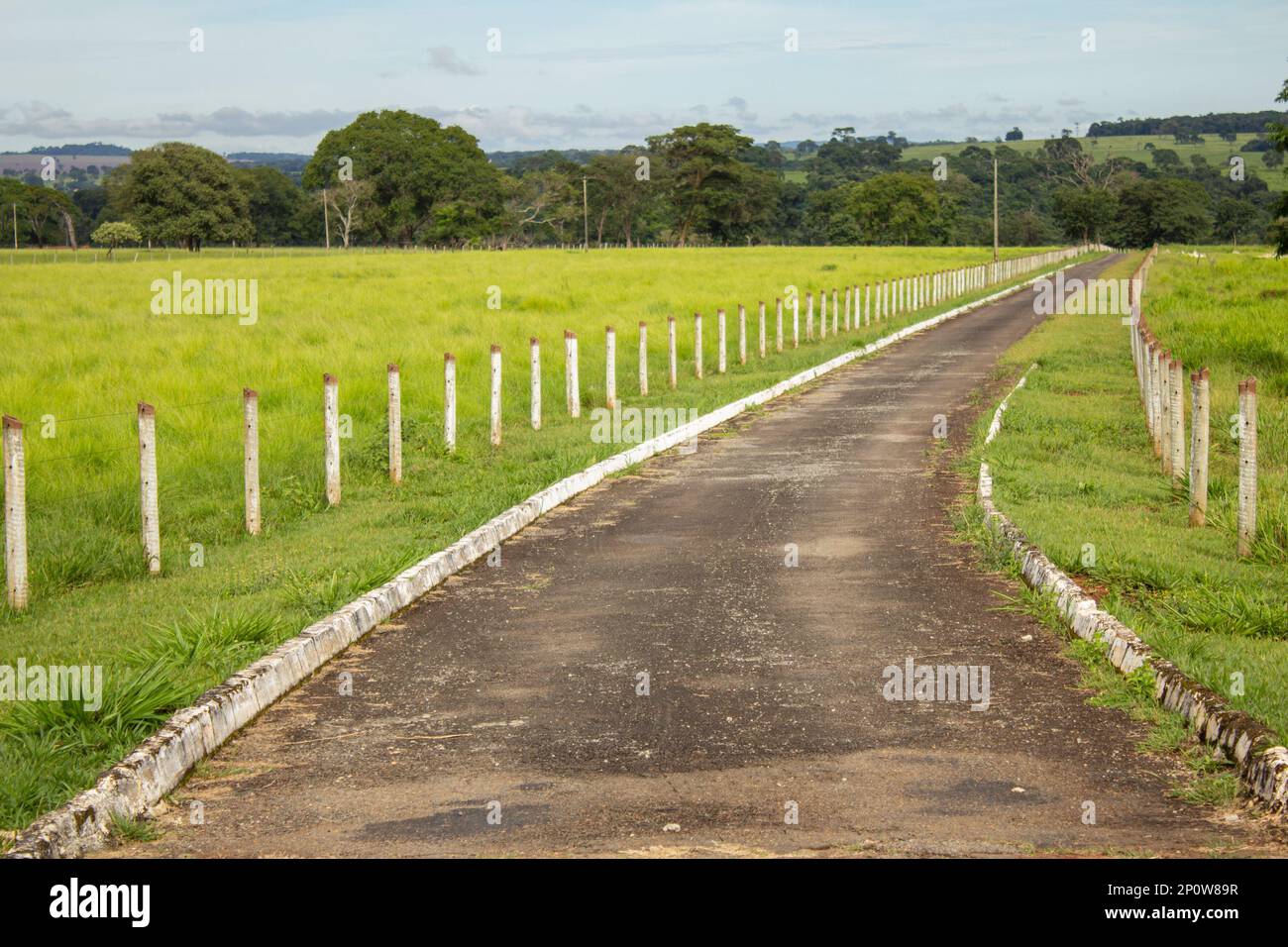 Paved street pathway leading hi-res stock photography and images - Alamy
