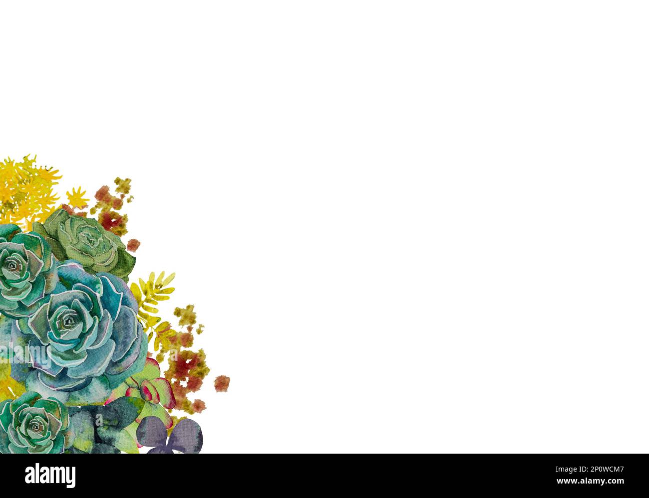 A collection of stylish watercolor succulents, flowers. Watercolor Set ...
