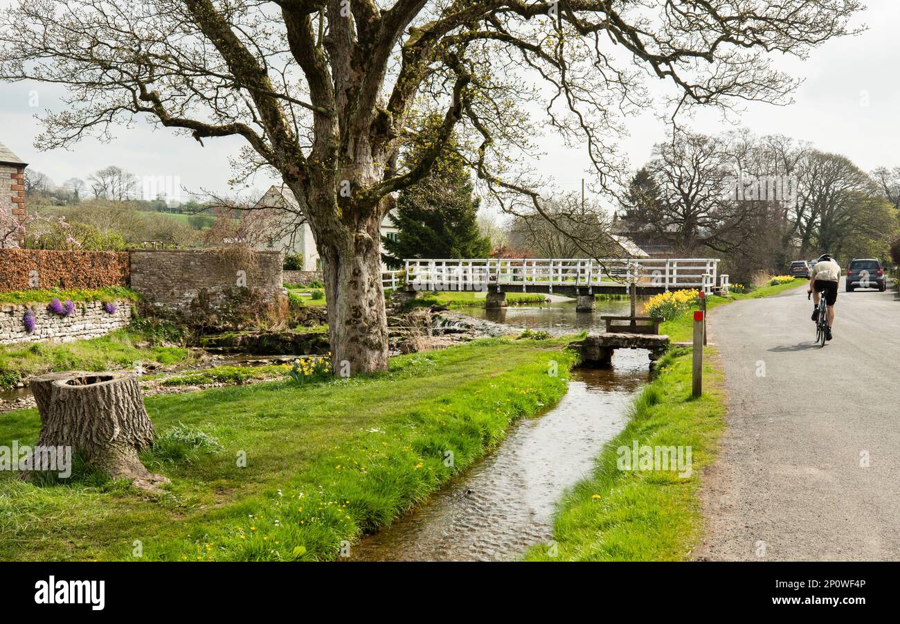 A cyclist rides through Morland village next to Morland Beck and a ...