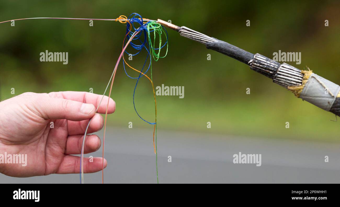 In this Sept. 23, 2016 photo three small bundles of fiber optics, each ...
