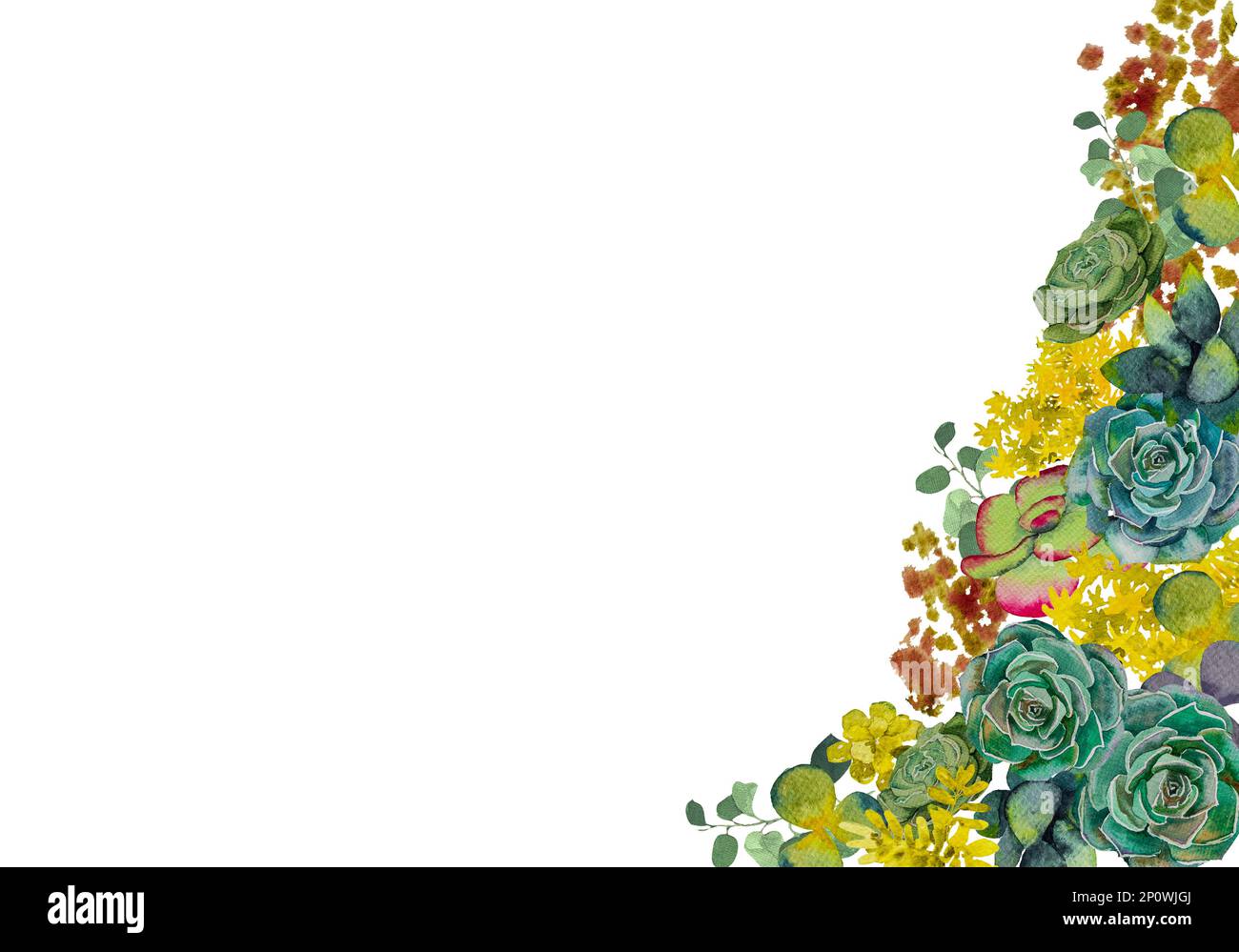 A collection of stylish watercolor succulents, flowers. Watercolor Set ...