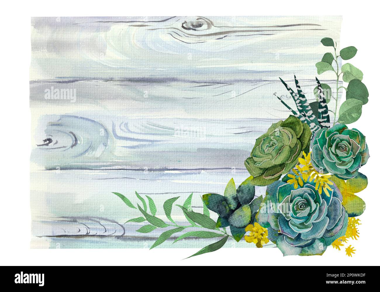 A collection of stylish watercolor succulents, flowers. Watercolor Set ...