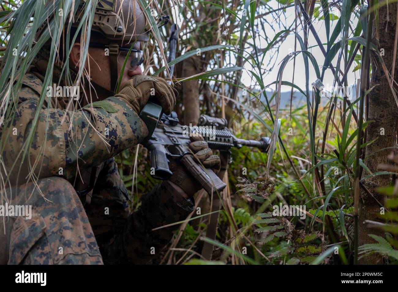 Platoon reinforcement hi-res stock photography and images - Alamy