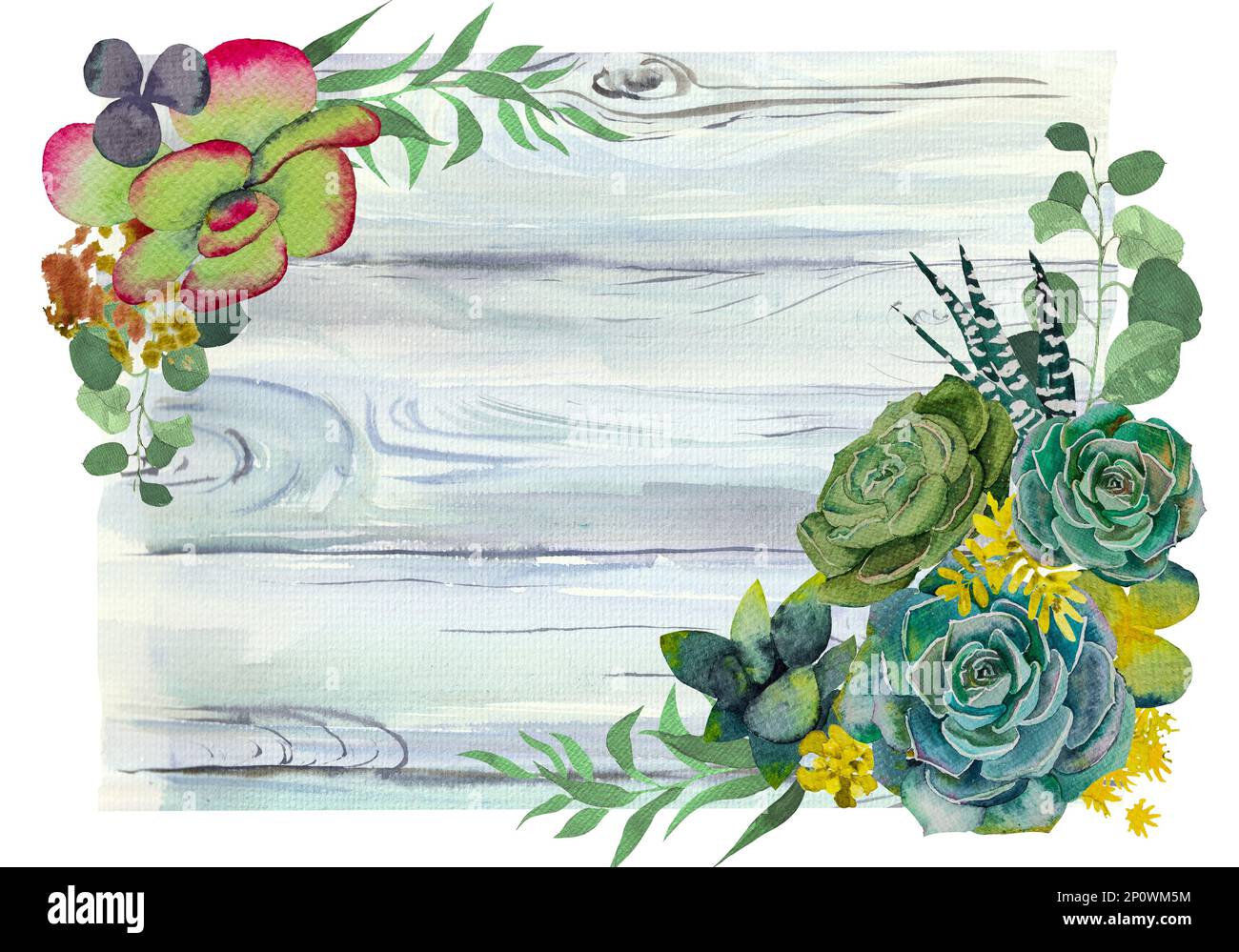 A collection of stylish watercolor succulents, flowers. Watercolor Set ...