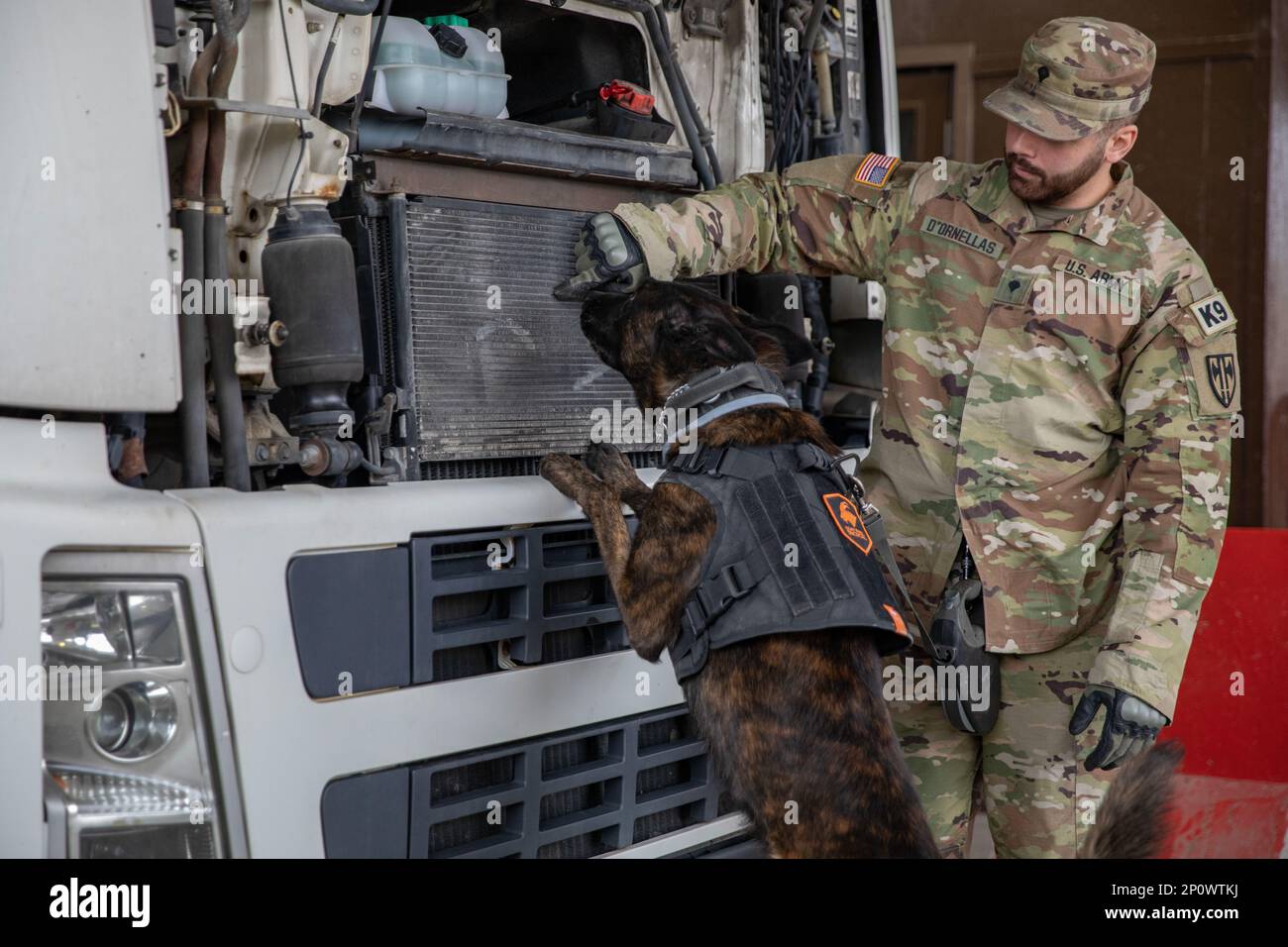 Ddunn, a patrol and explosive detector Dutch Shepherd, and his handler ...