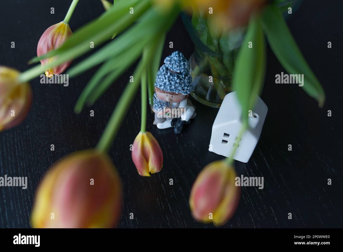 The figure of a girl and a house under the flowers of tulips on a dark ...