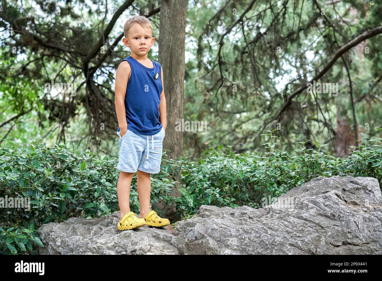Little boy stands hiding hands in pockets on rock in coniferous forest ...