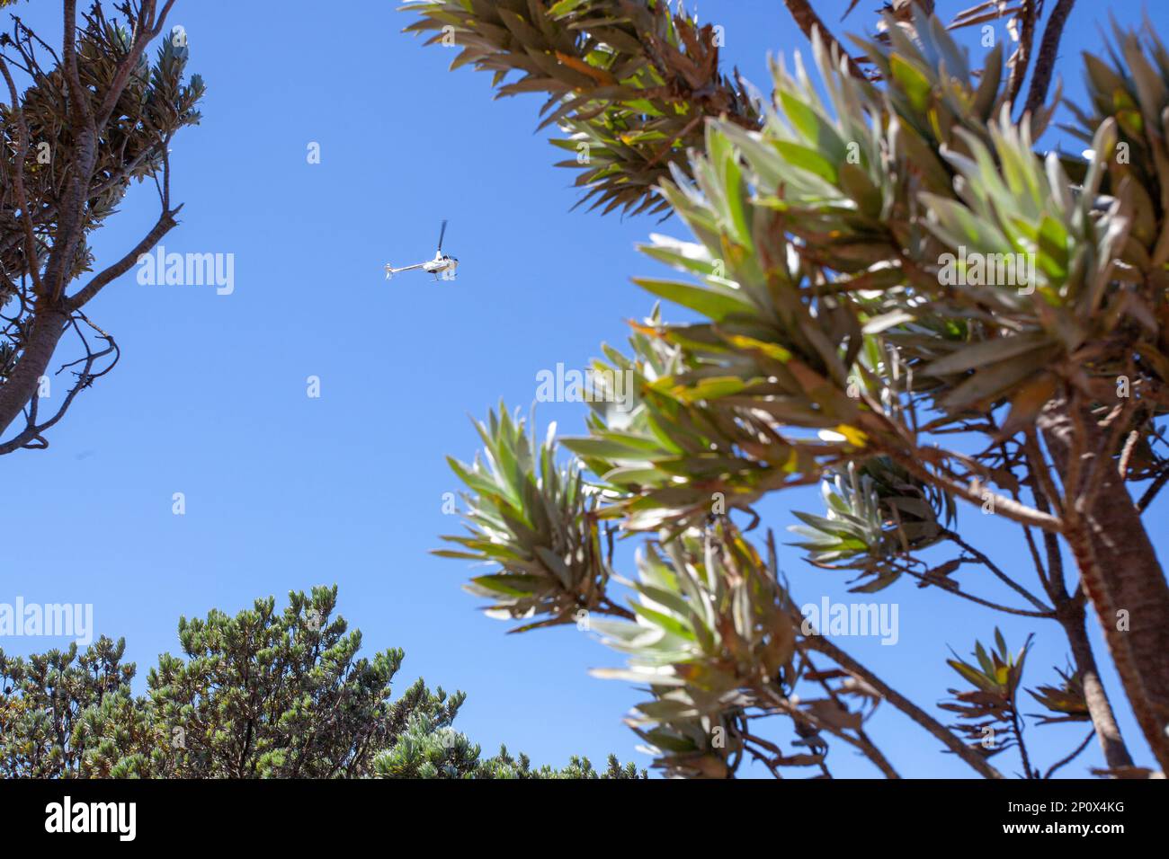 filming ABSA Cape Epic Prologue mountain bike race from helicopter Stock Photo - Alamy