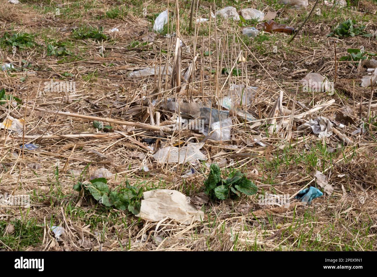 Spring forest stream river garbage waste plastic tire glass bottles after the snow melted ...