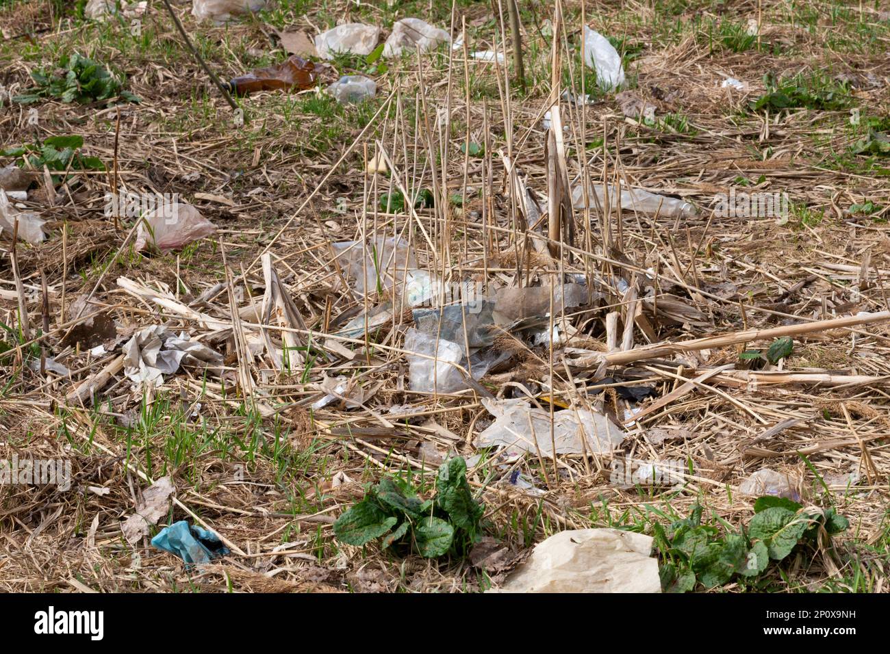 Spring forest stream river garbage waste plastic tire glass bottles after the snow melted ...