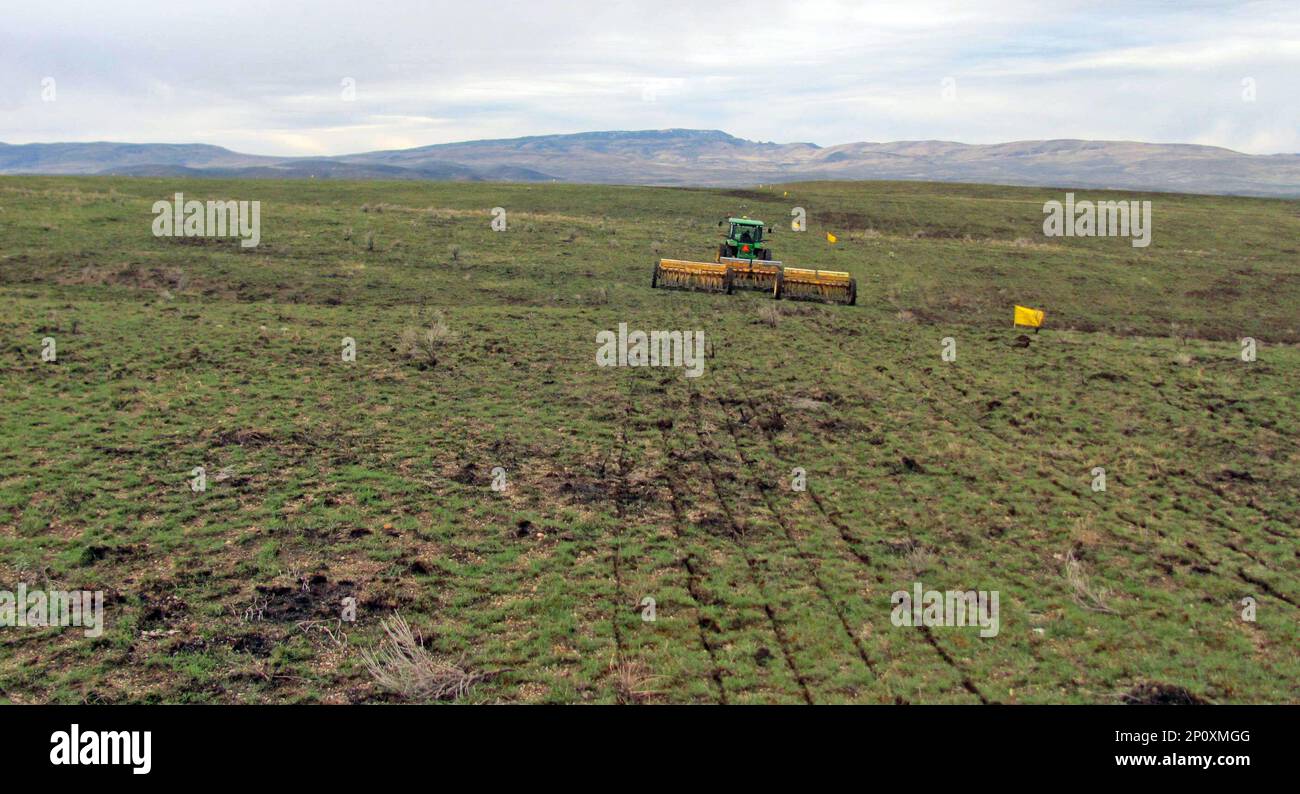 FILE - In this 2015 file photo, provided by the Bureau of Land ...