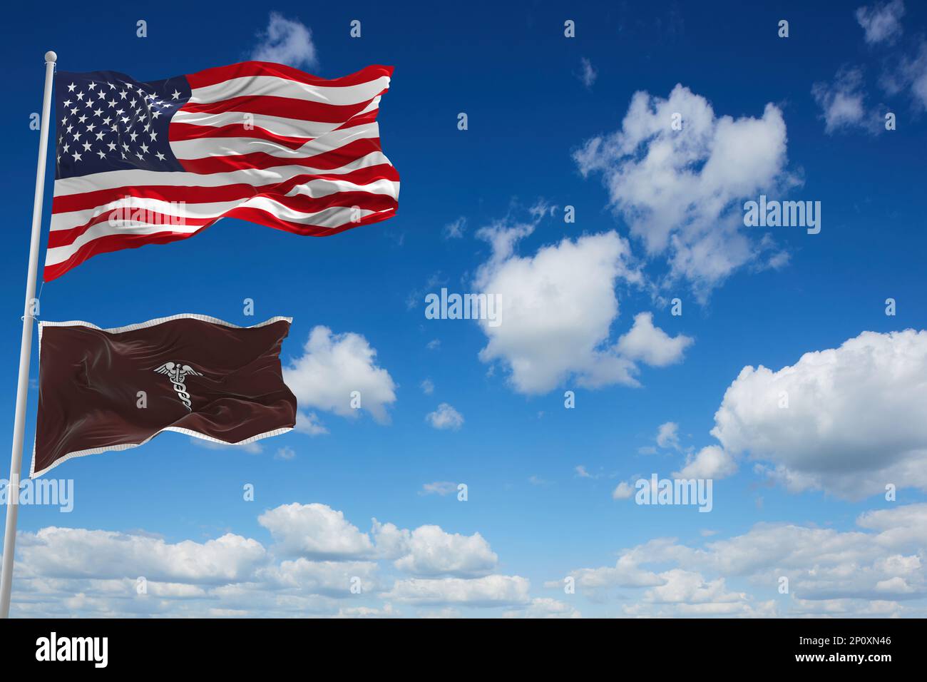 flag of Surgeon General of the United States Army with fringe waving in ...