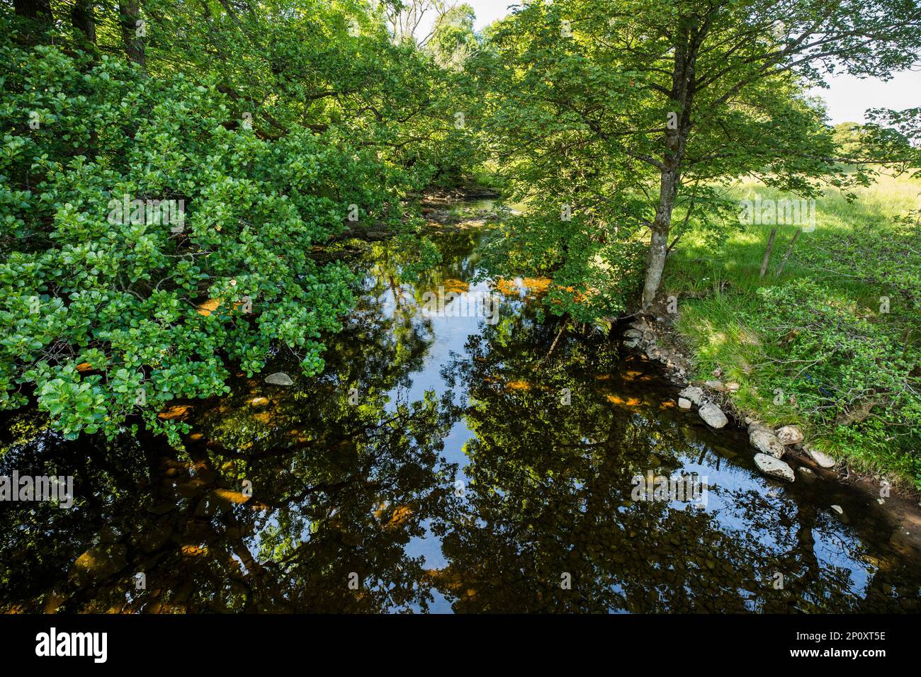 The River Eden running through Stenkrith Park at Kirkby Stephen ...