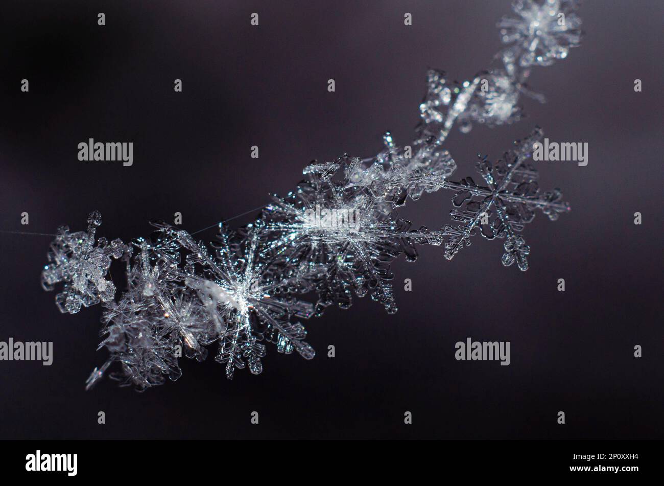 Real diamonds hi-res stock photography and images - Alamy