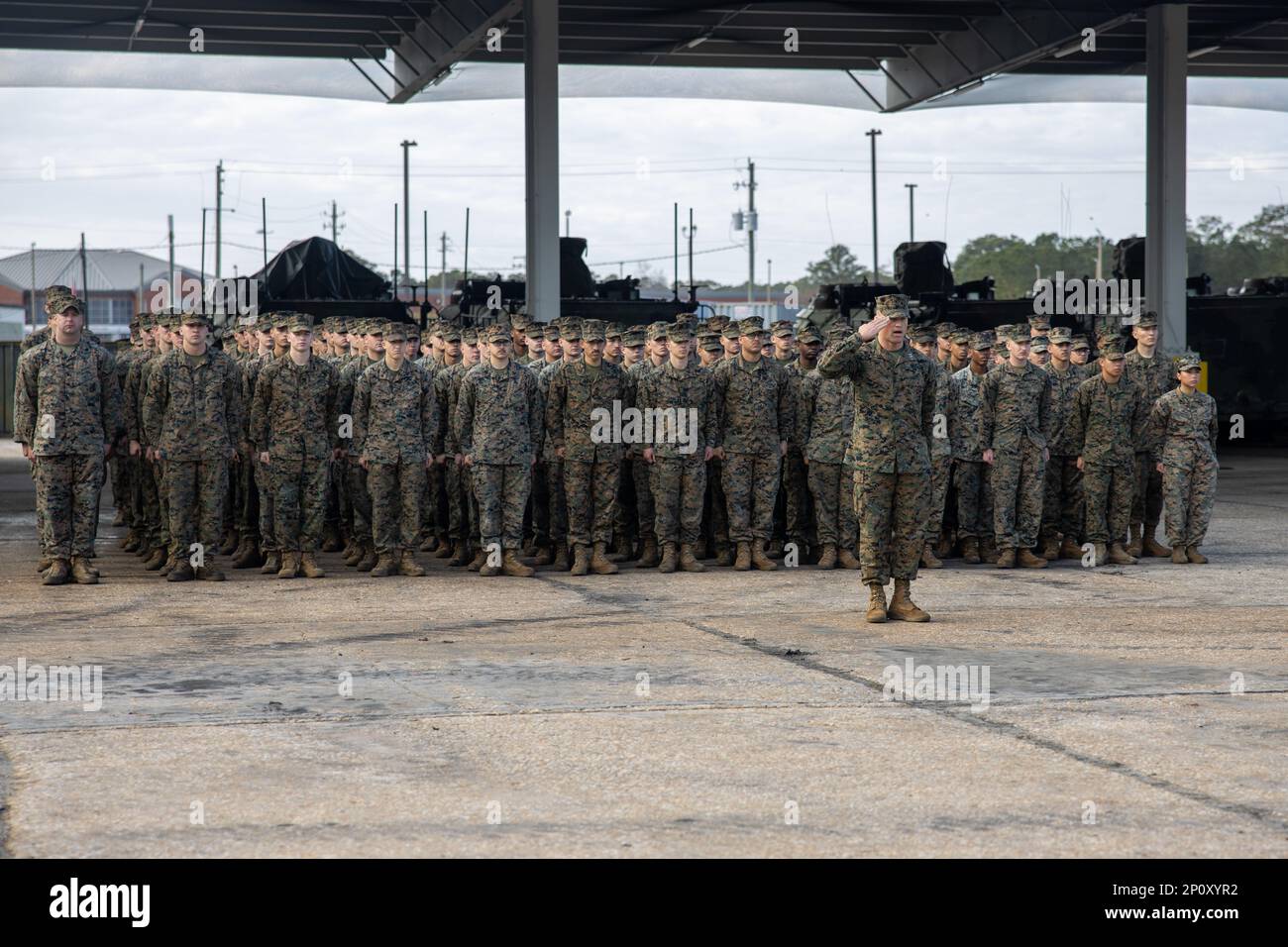 U.S. Marines with 2d Assault Amphibian Battalion, 2d Marine Division ...
