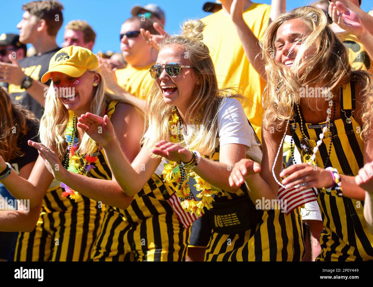 September 17, 2016:Iowa Hawkeye fans cheer on thier team during a NCAA ...