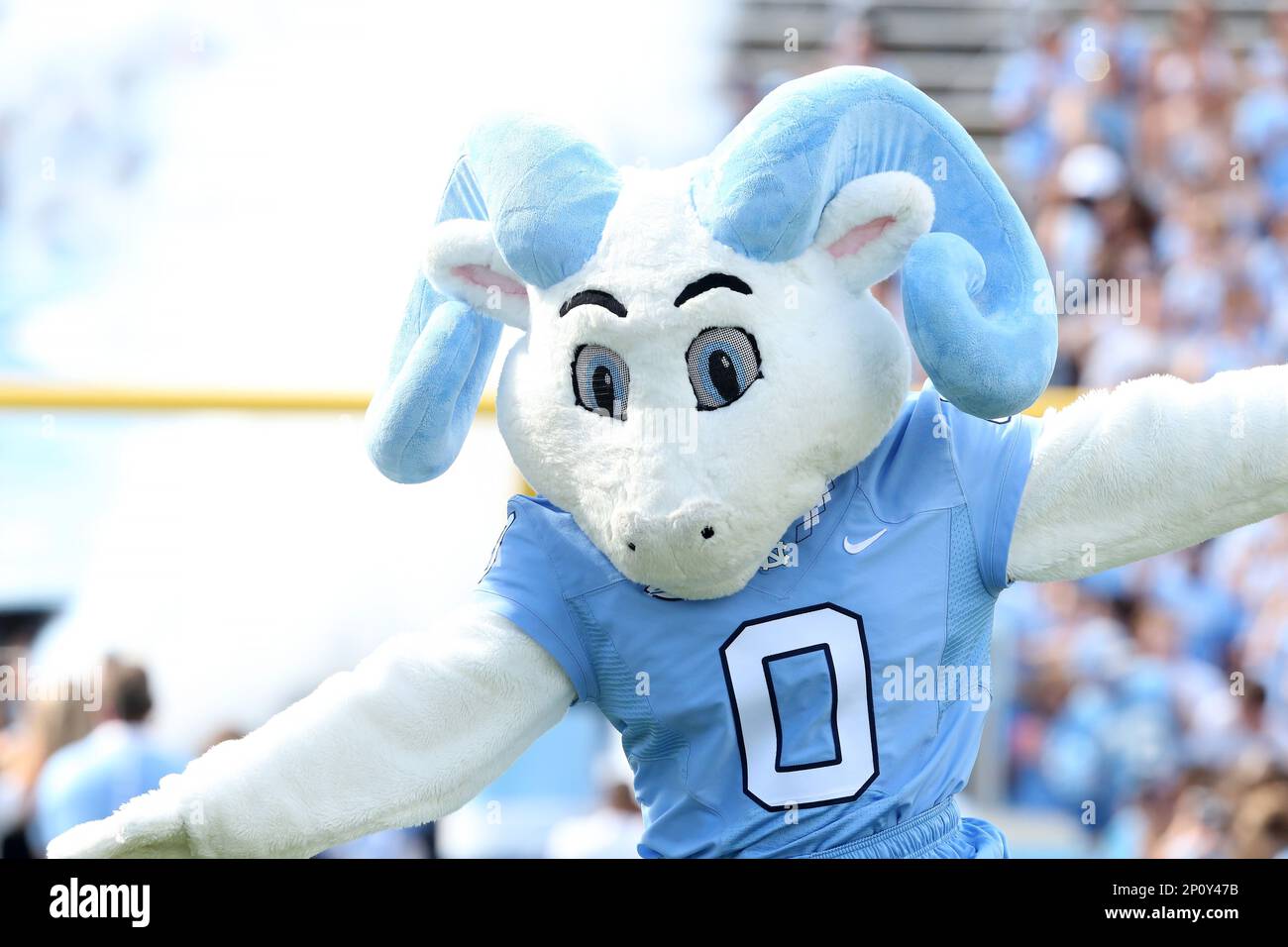 17 September 2016: UNC mascot, RJ - Rameses Jr., leads the team onto ...