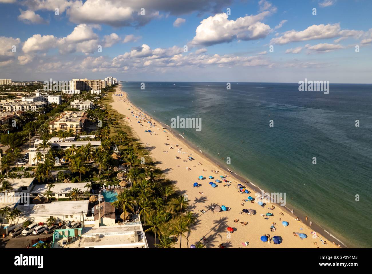 Palm trees in miami aerial hi-res stock photography and images - Alamy