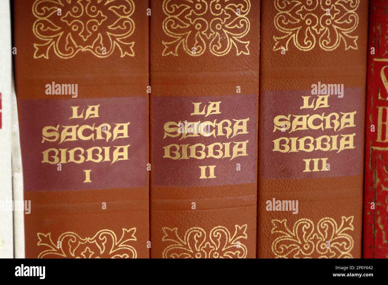 Shelves of a library with three volumes of the Holy Bible. High quality ...