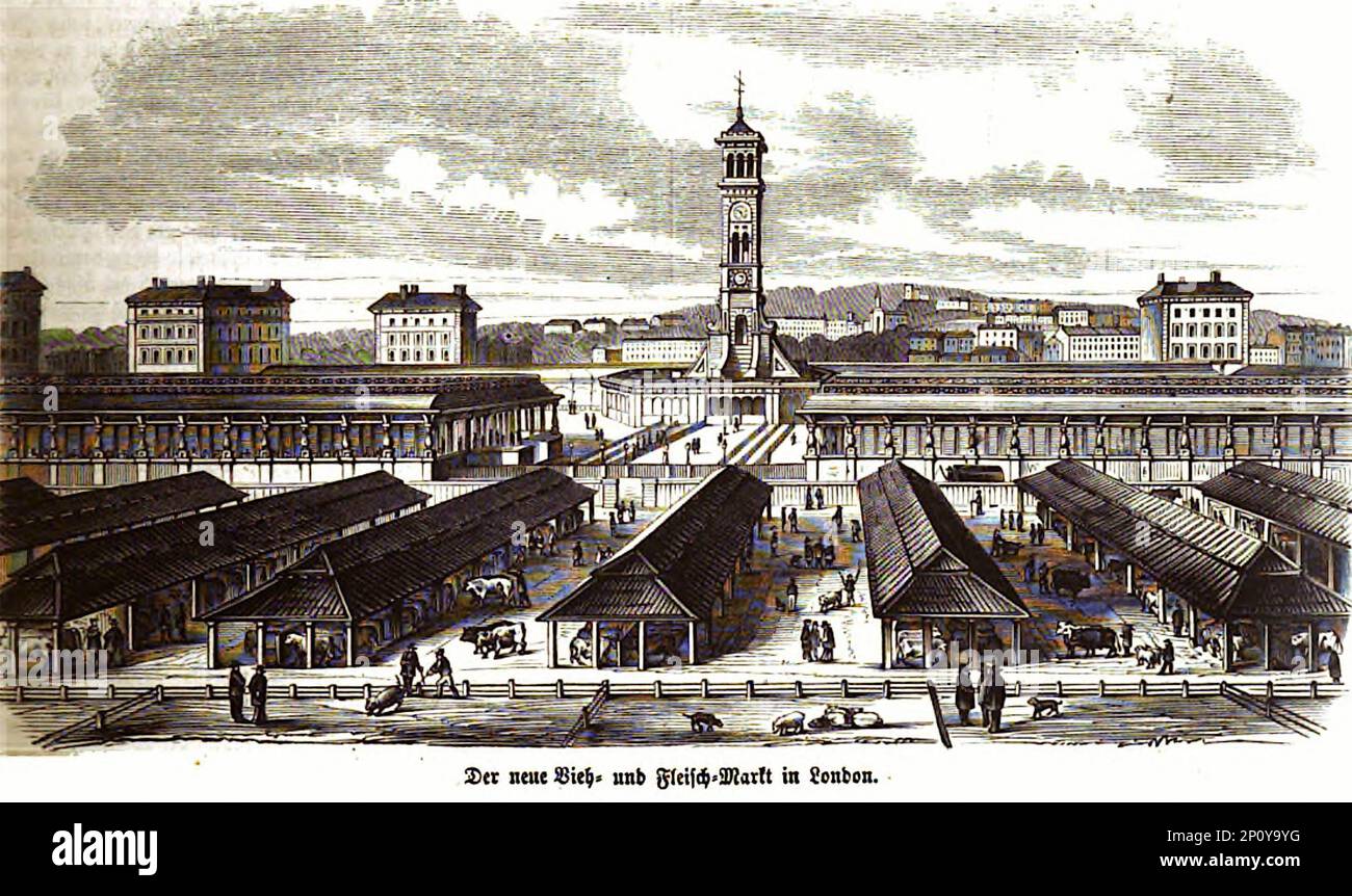 Metropolitan Cattle Market, Islington (1855 Stock Photo - Alamy