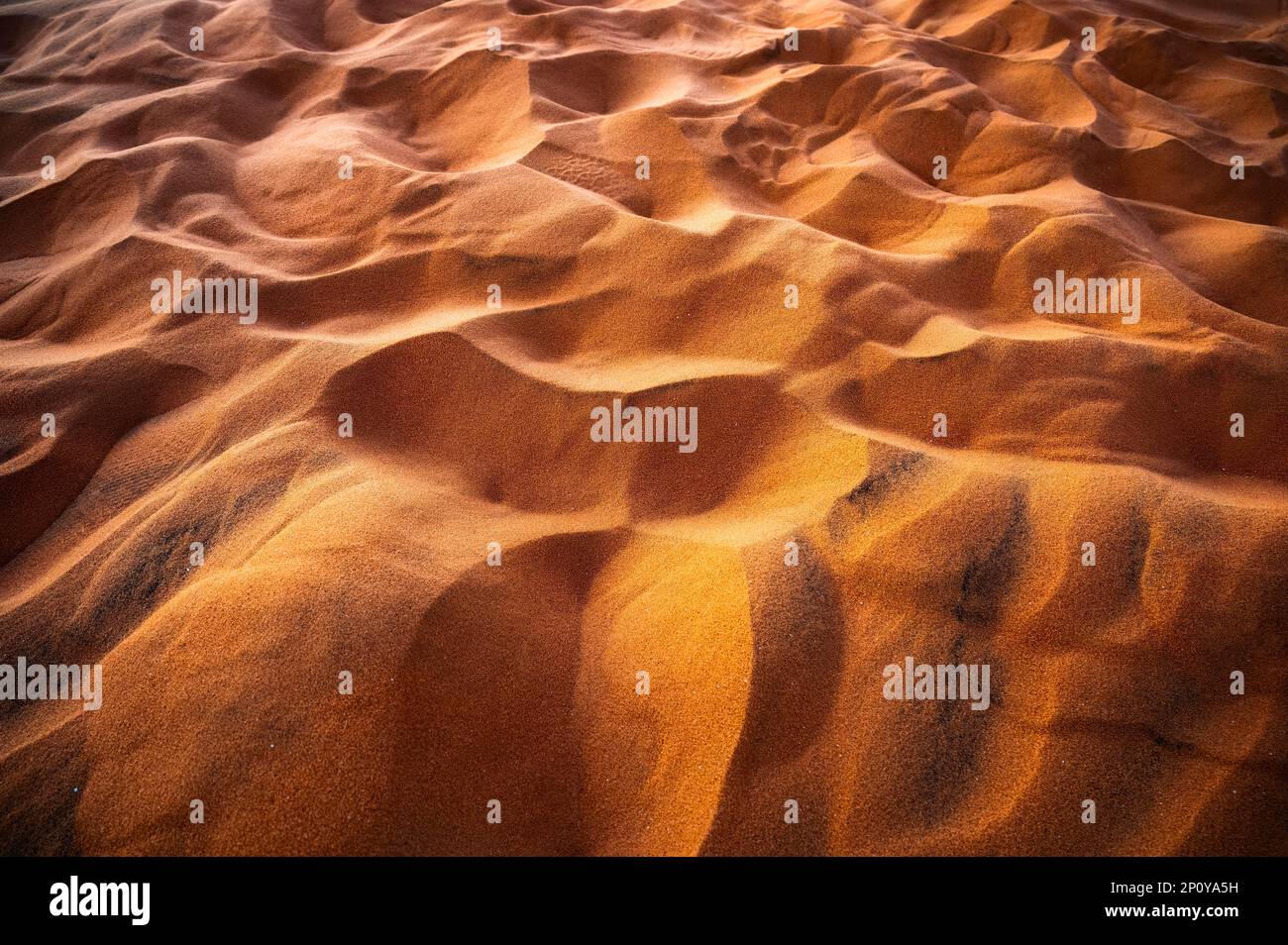 Shiny wavy golden sand dune pattern in the sunset background Stock ...