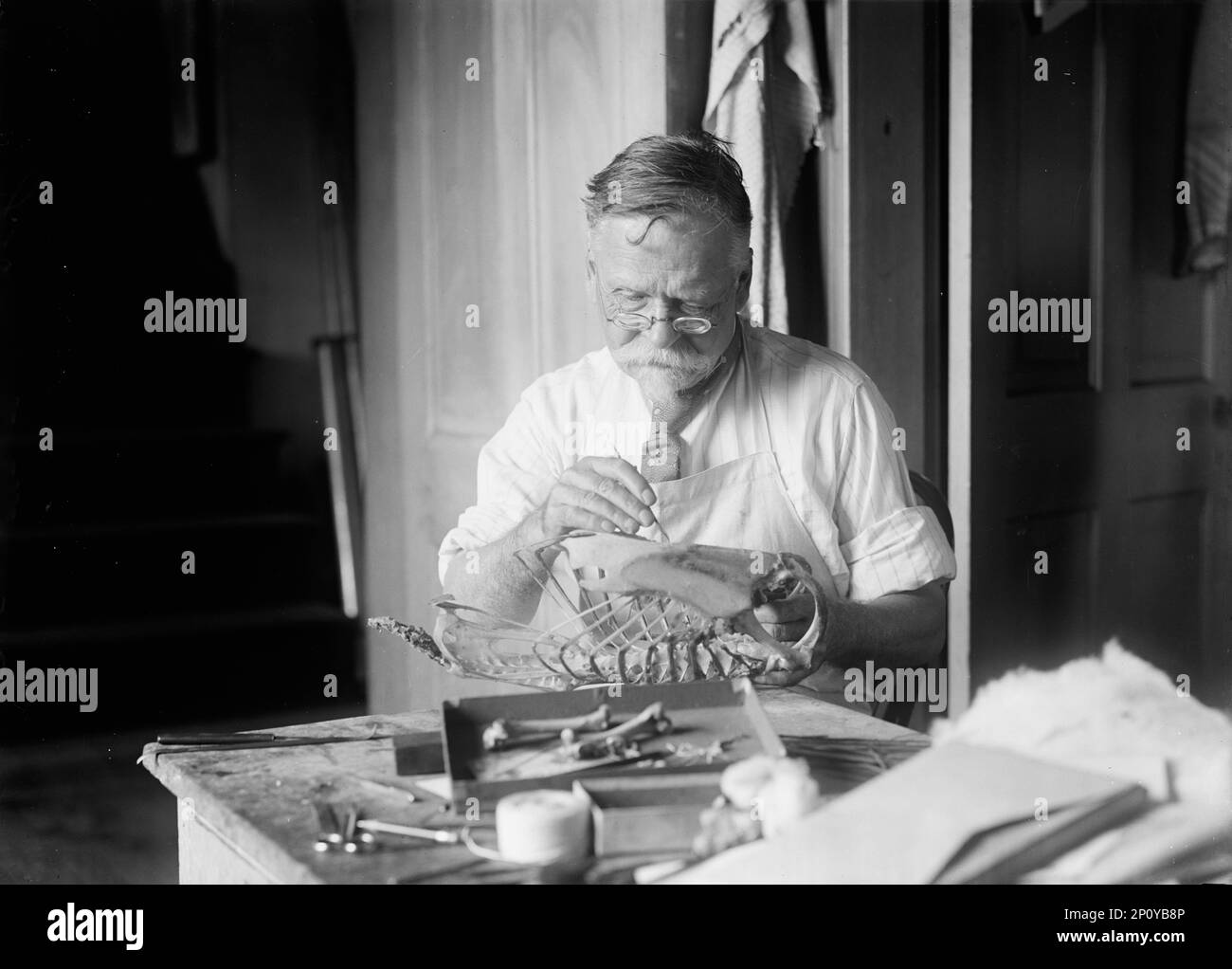 J. W. Scollick of Smithsonian Institute, 1916. Special osteological ...