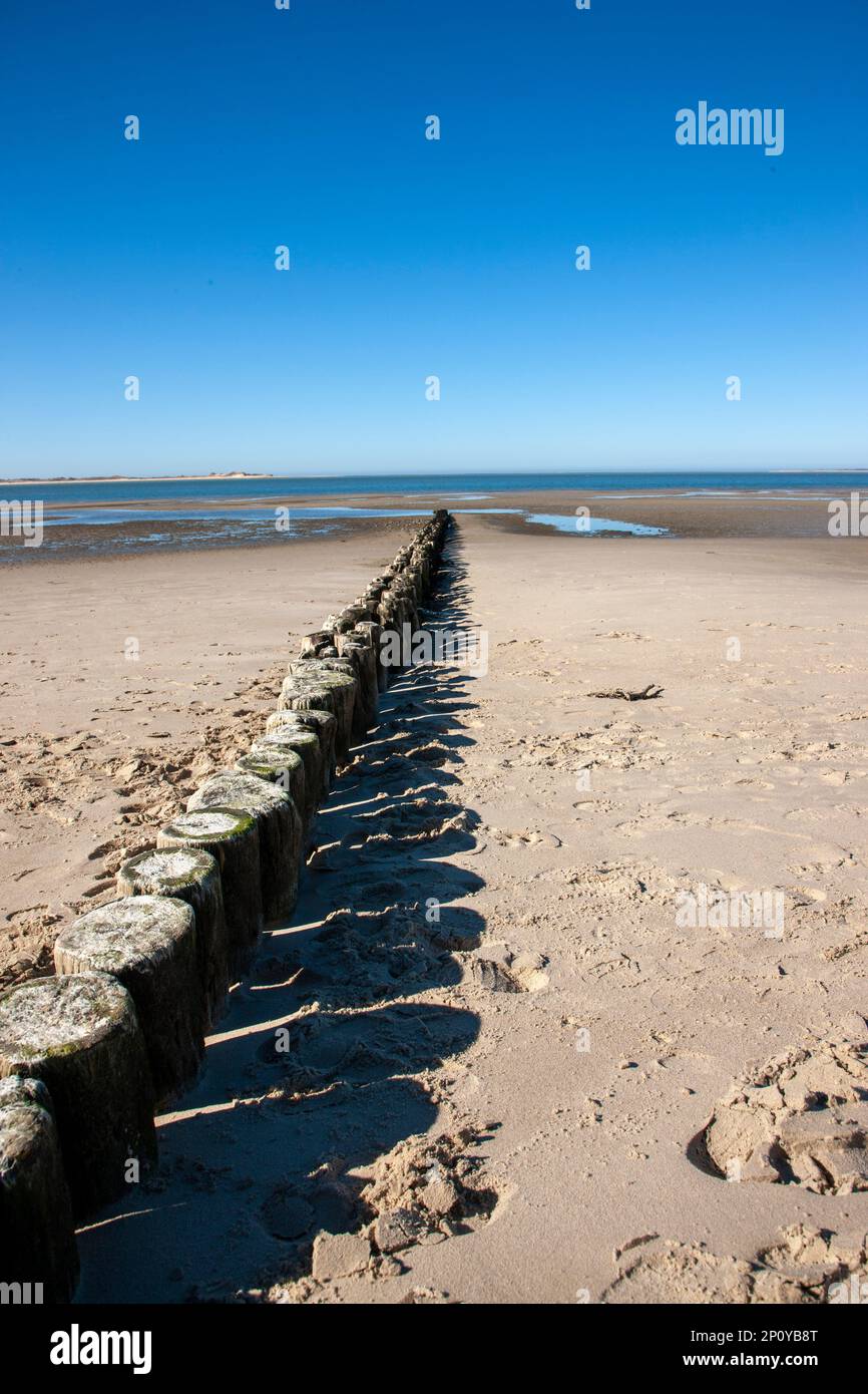 A vertical view of the beach with wooden barriers stretching out to the ...