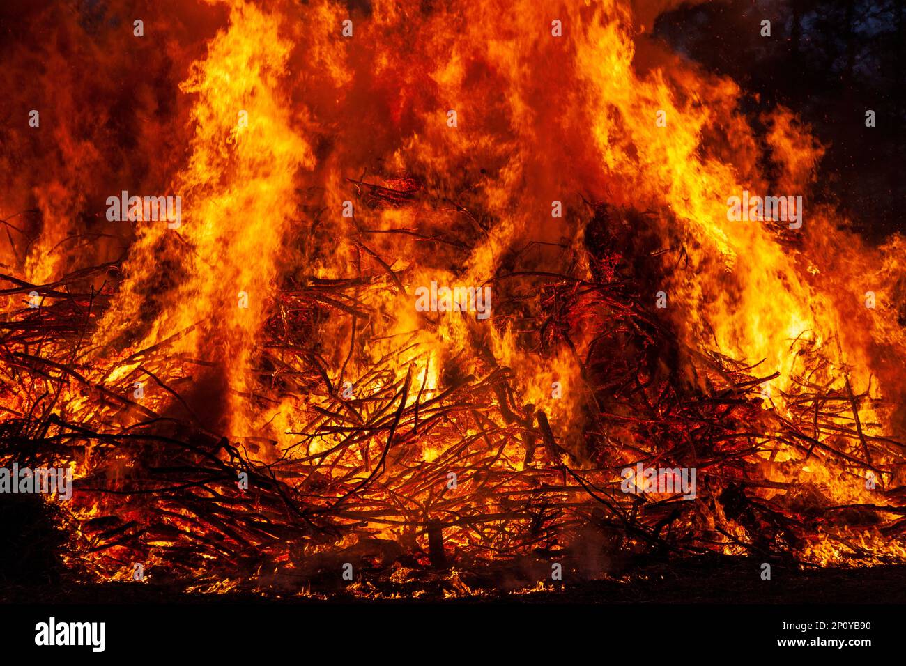 An expansive pile of wood sticks in a grassy field surrounded by a ...