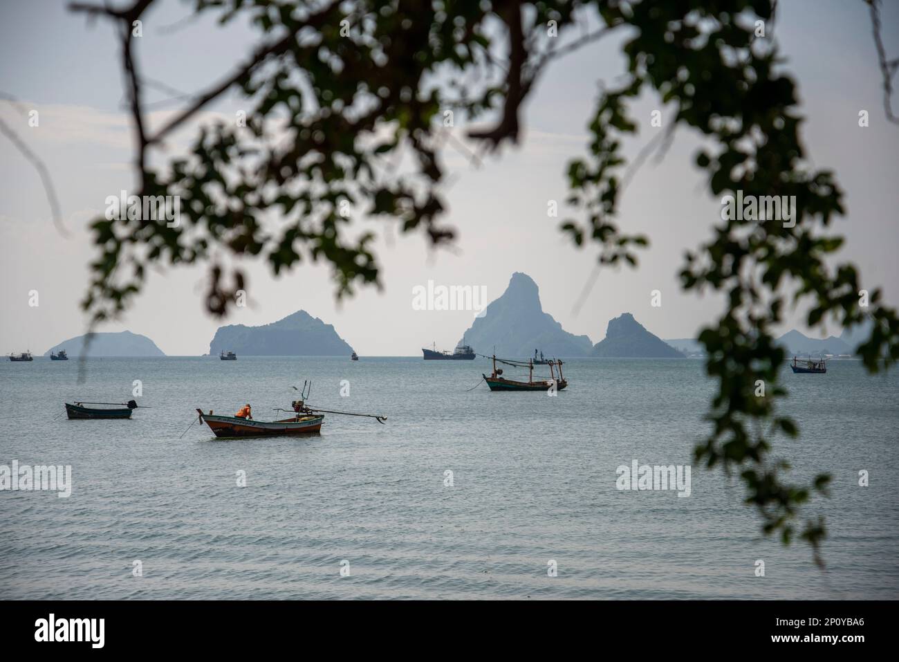 The Landscape and Coast at the Khao Ta Mong Lai Forest Park in the City ...