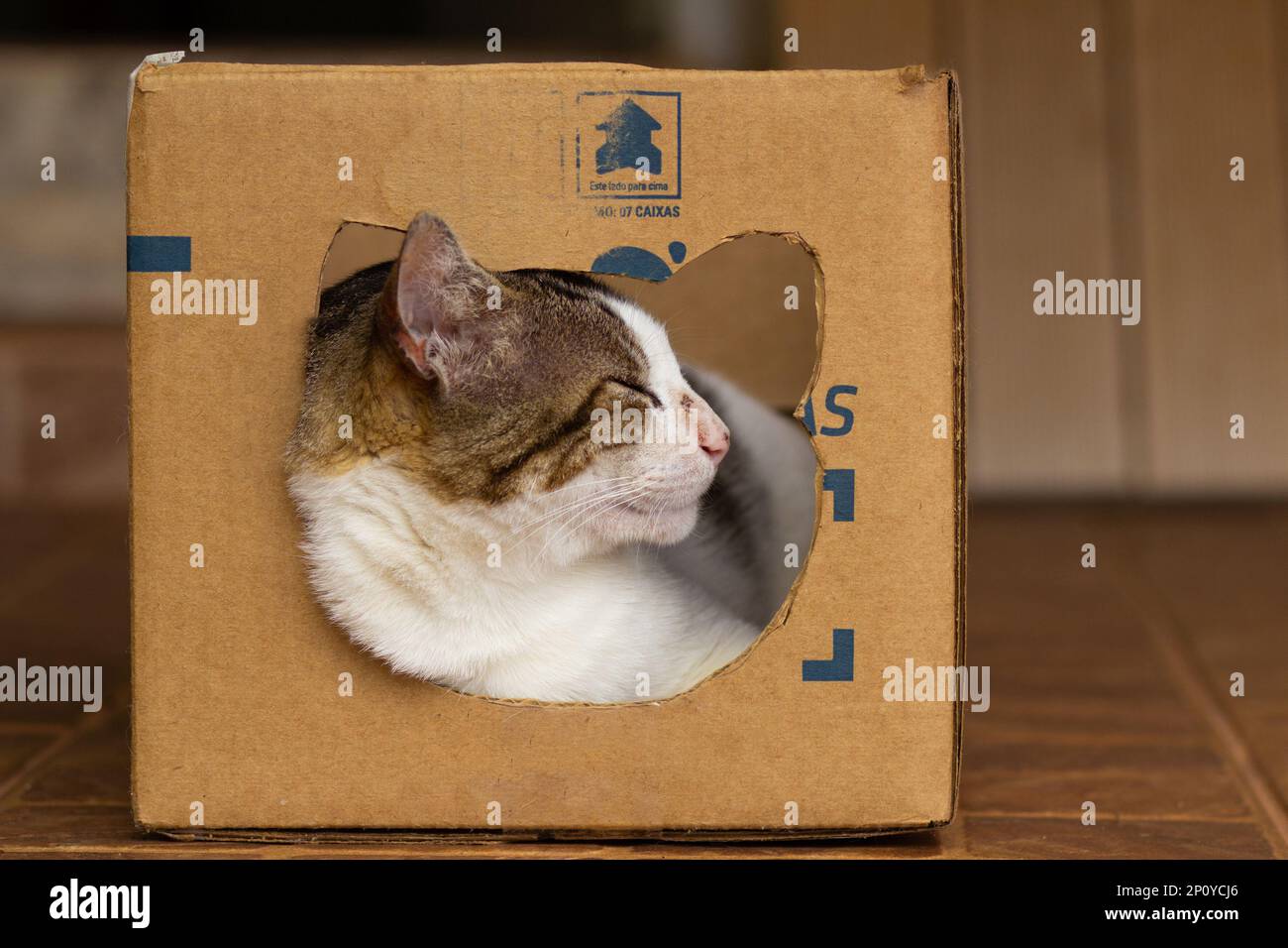 February 01 2023 hi-res stock photography and images - Alamy