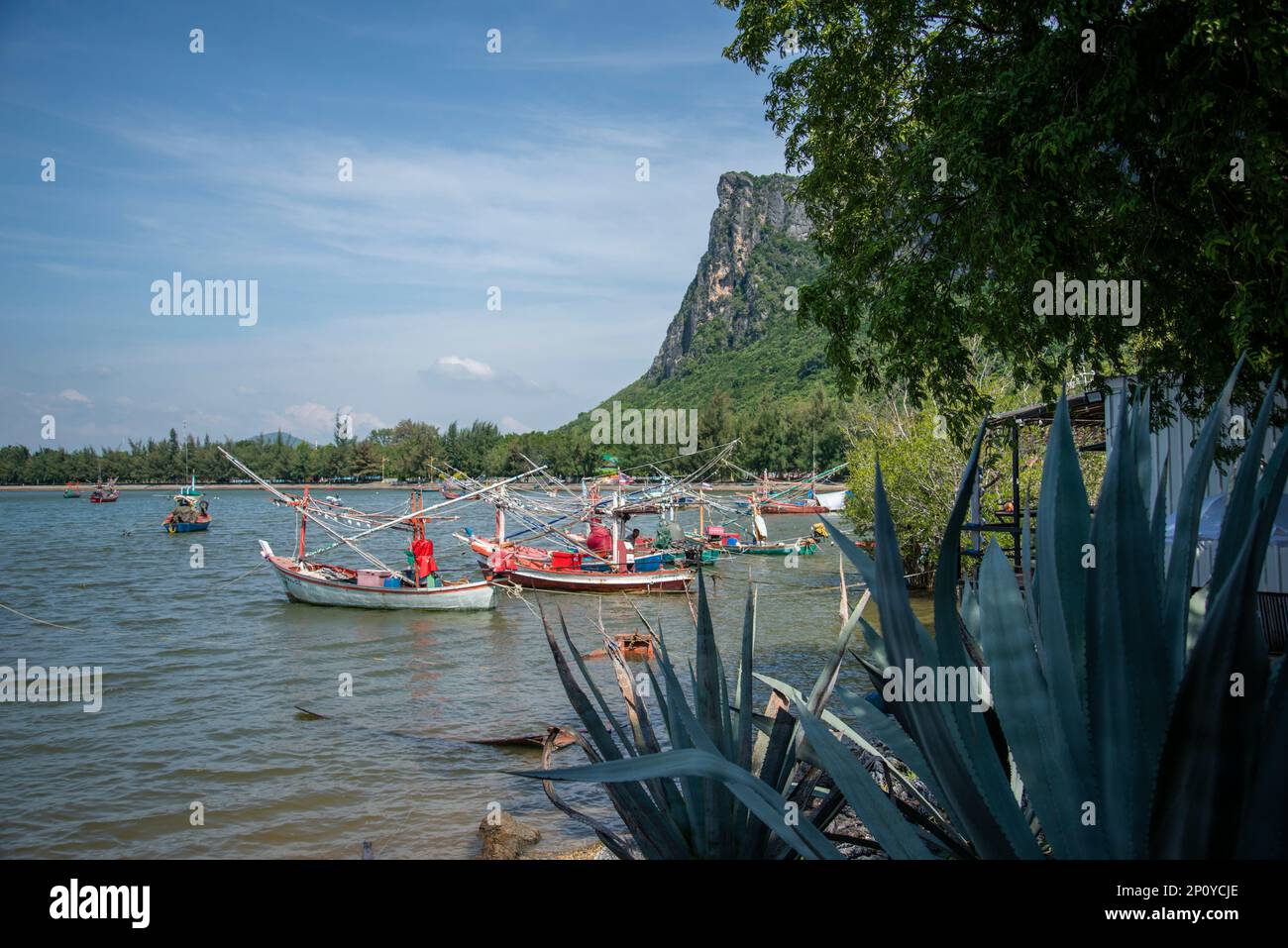 The Landscape and Coast at the Khao Ta Mong Lai Forest Park in the City ...
