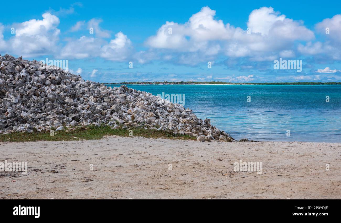A mountain of shells on the beach of Lac Bay, Bonaire. Back there the ...