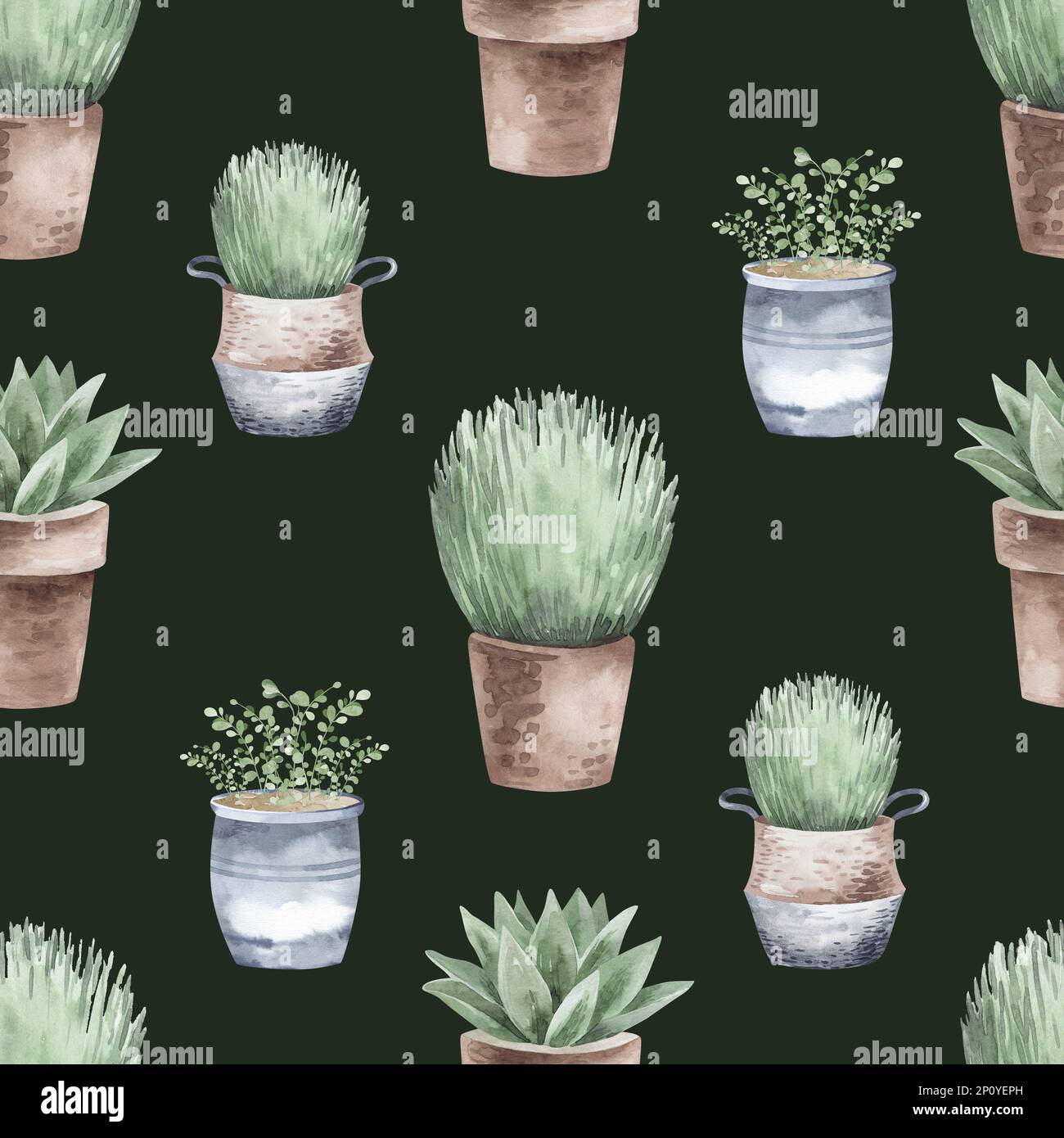 Animal tracks. Animal feet silhouette. Path for walking on the paws of ...