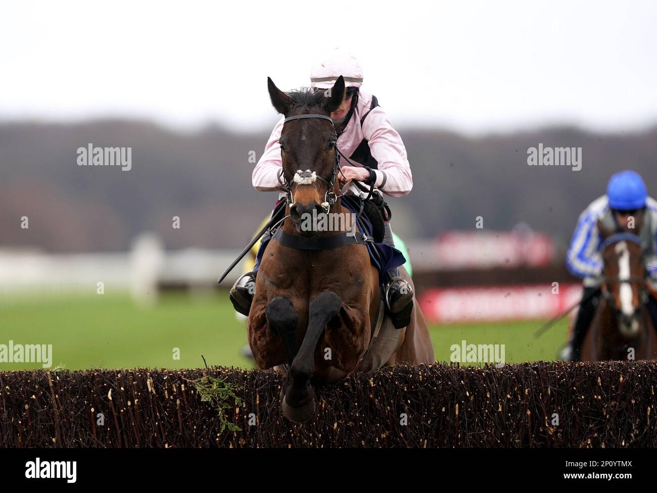 Nathan moscrop hi-res stock photography and images - Alamy