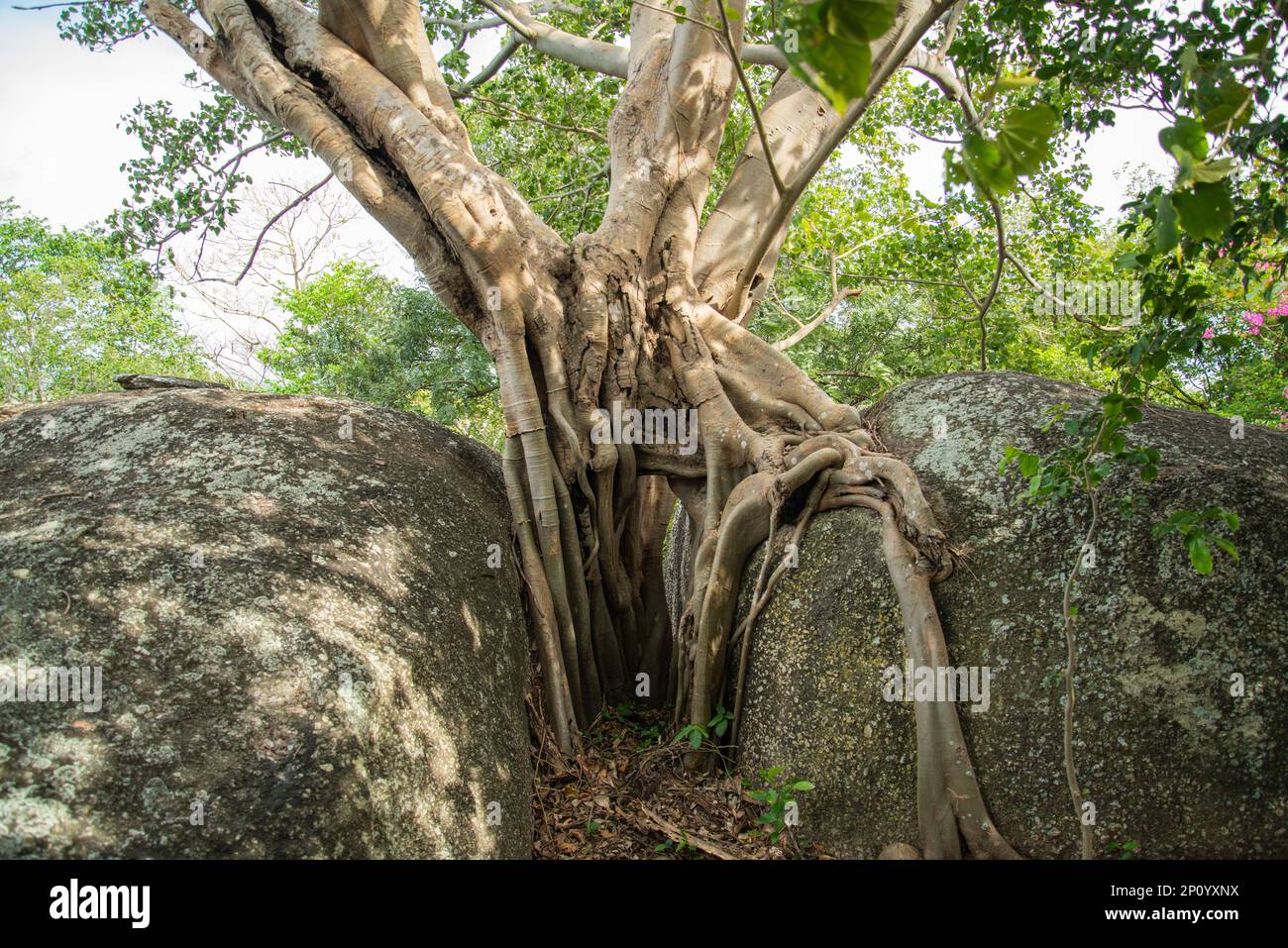The Khao Hin Thoen Stone Park near the Village of Dan Singkhon near the ...