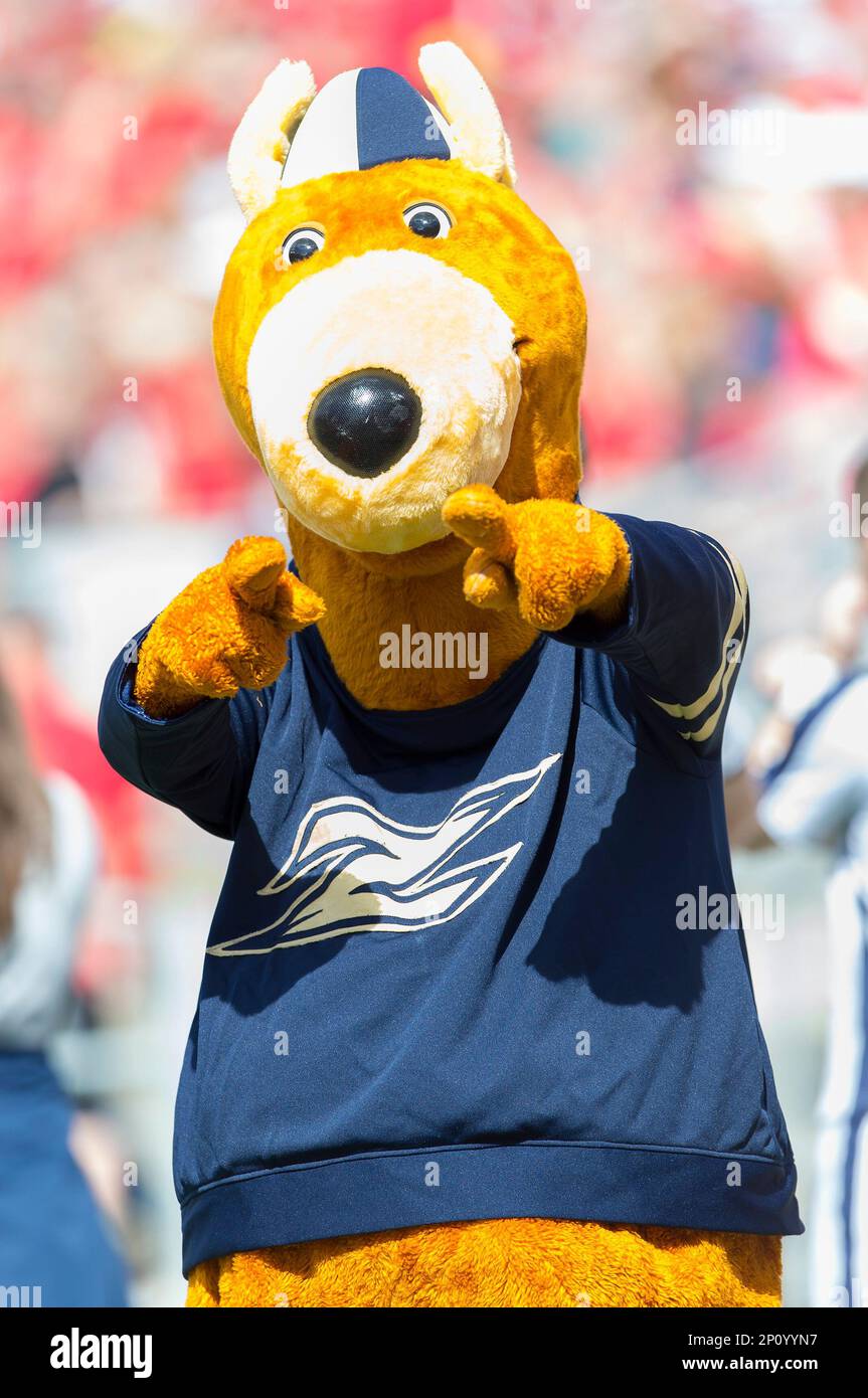 September 10, 2016: Akron Zips mascot during the NCAA Football game ...